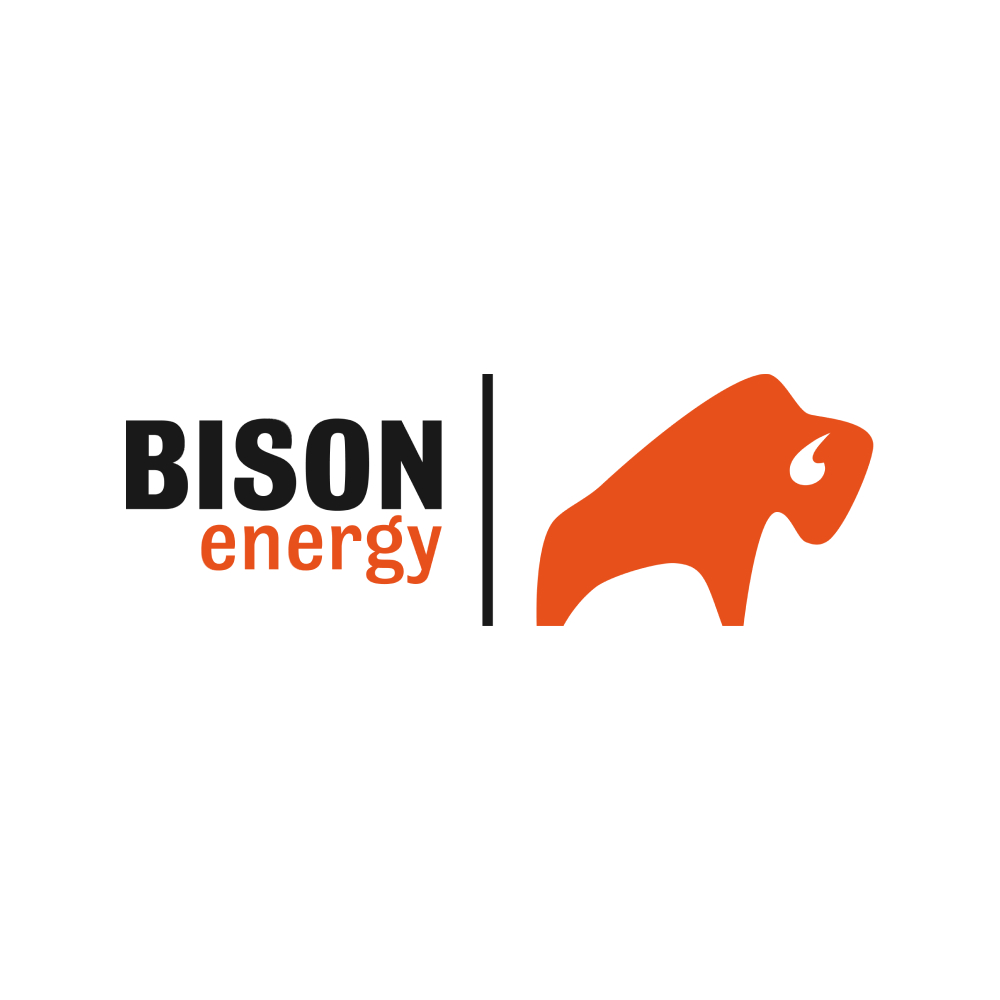 Stacje ładowania EV | Bison Energy - wykonawcy instalacji OZE